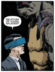 Slash (IDW)/Gallery | TMNTPedia | Fandom
