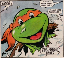 Miss Turtle 1991/Gallery | TMNTPedia | Fandom