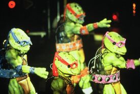 Coming Out of Their Shells/Gallery | TMNTPedia | Fandom