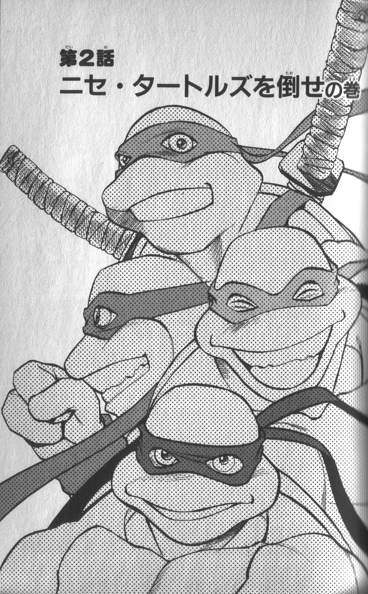 Nise Turtles o Taose | TMNTPedia | Fandom
