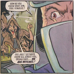 Witches Warning!/Gallery | TMNTPedia | Fandom