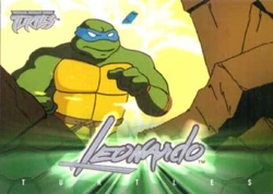 Leonardo Fact Card | TMNTPedia | Fandom