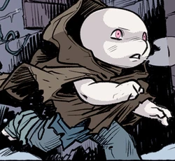 Lita (IDW)/Gallery | TMNTPedia | Fandom