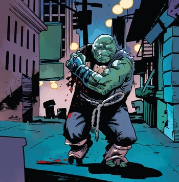 Raphael (future) (IDW) | TMNTPedia | Fandom