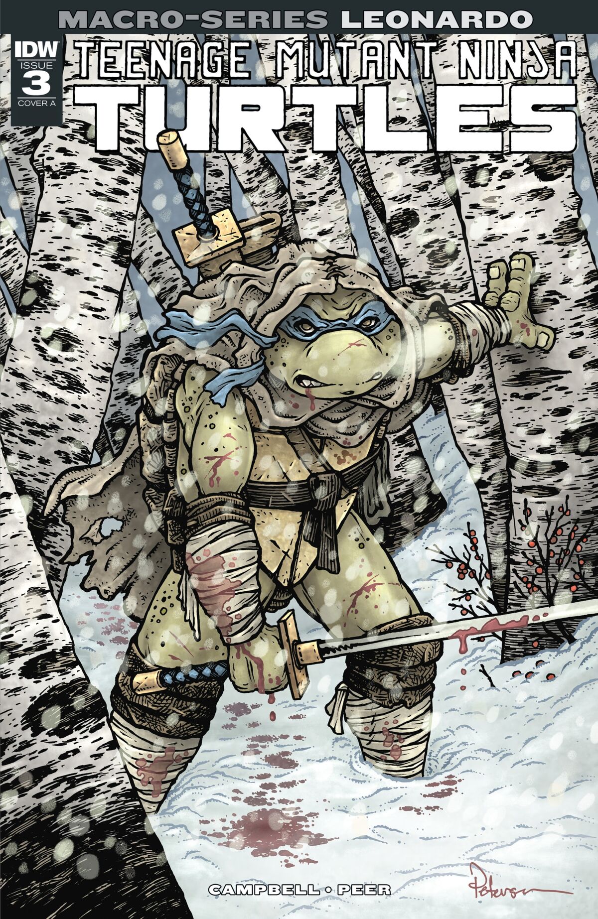 Leonardo (IDW Macro-Series issue) | TMNTPedia | Fandom