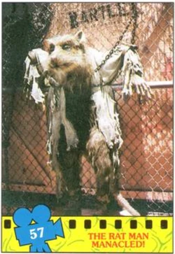 The Rat Man Manacled! | TMNTPedia | Fandom