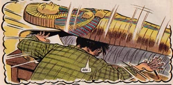 Perry Midd/Gallery | TMNTPedia | Fandom