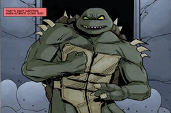 Slash (IDW)/Gallery | TMNTPedia | Fandom