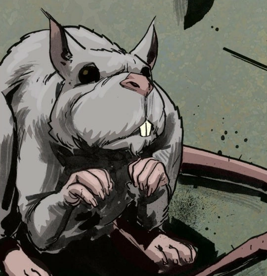 Splinter (IDW)/Gallery | TMNTPedia | Fandom