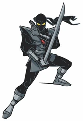 Foot Ninja (2003 TV series)/Gallery | TMNTPedia | Fandom