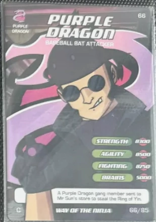 Purple Dragon, Baseball Bat Attacker (Way of the Ninja) | TMNTPedia ...