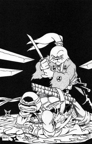 Shades of Green | TMNTPedia | Fandom