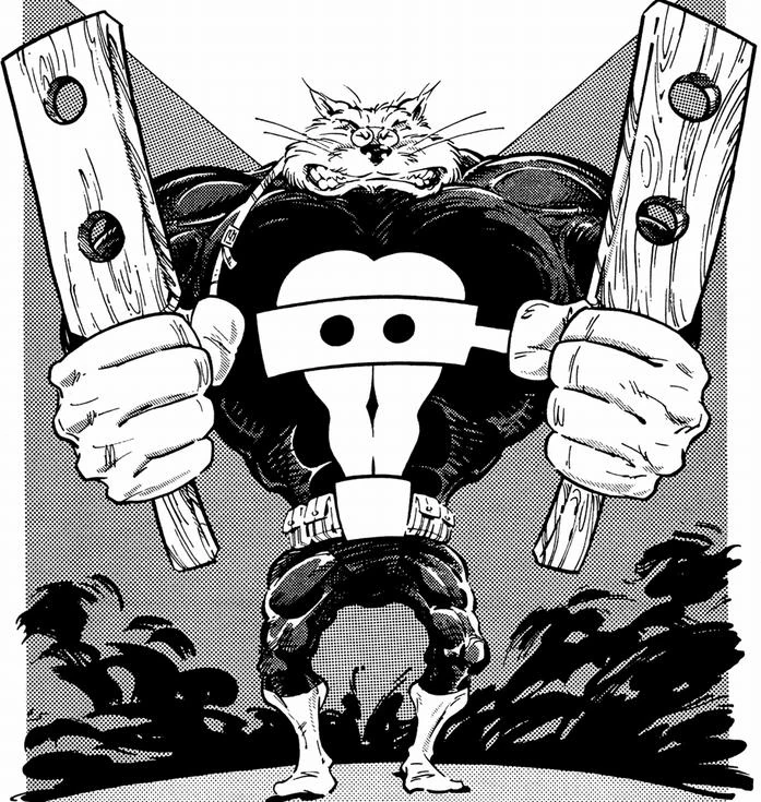 Boo Swain/Gallery | TMNTPedia | Fandom