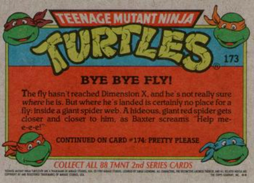 Bye Bye Fly! | TMNTPedia | Fandom