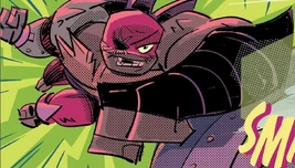 Raphael (future) (Rise of the TMNT) | TMNTPedia | Fandom