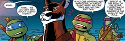 Zodiac, Part 1/Gallery | TMNTPedia | Fandom