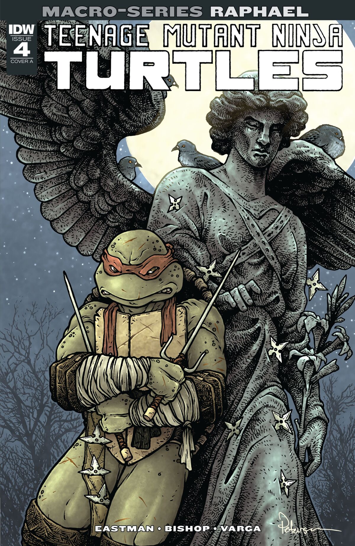 Raphael Idw Macro Series Issue Tmntpedia Fandom