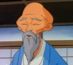 Sensei | TMNTPedia | Fandom