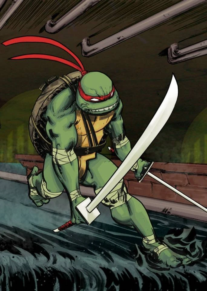Leonardo (IDW)/Gallery | TMNTPedia | Fandom