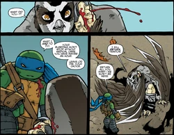 Koya (IDW)/Gallery | TMNTPedia | Fandom