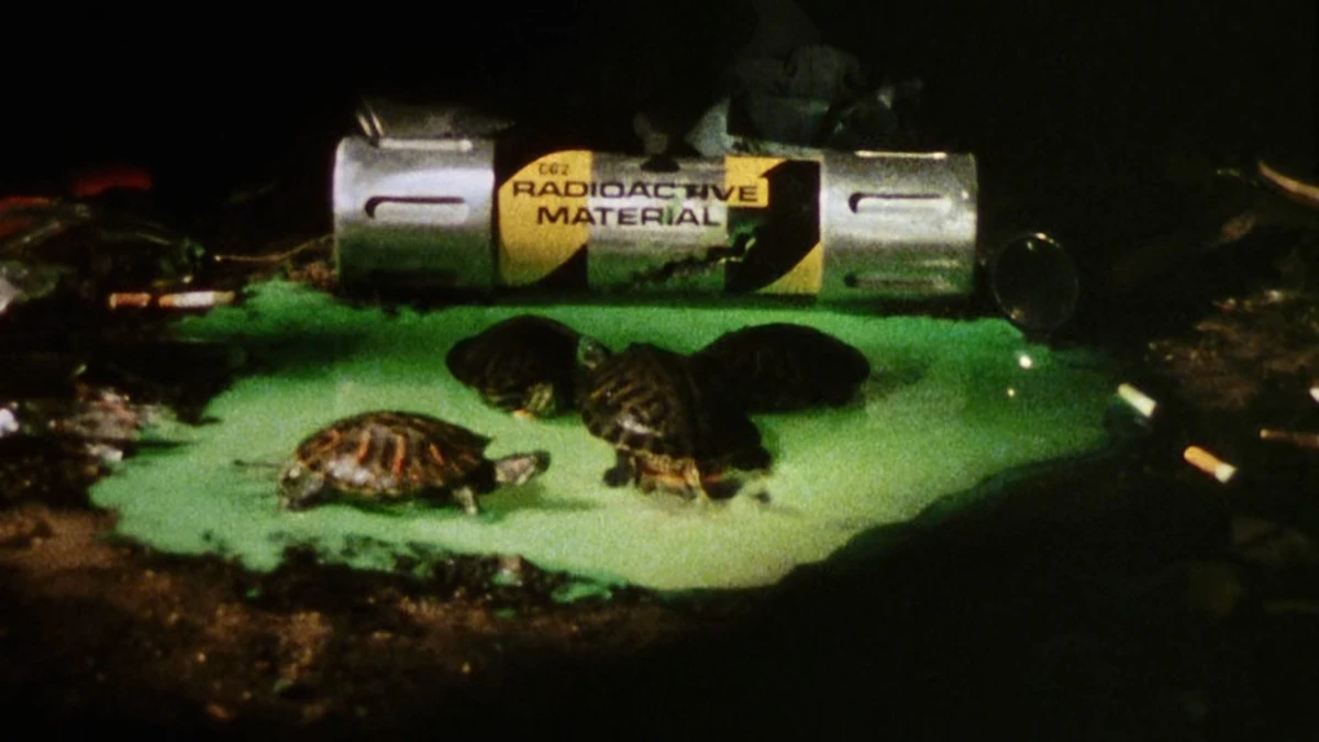 Category:Animals | TMNTPedia | Fandom