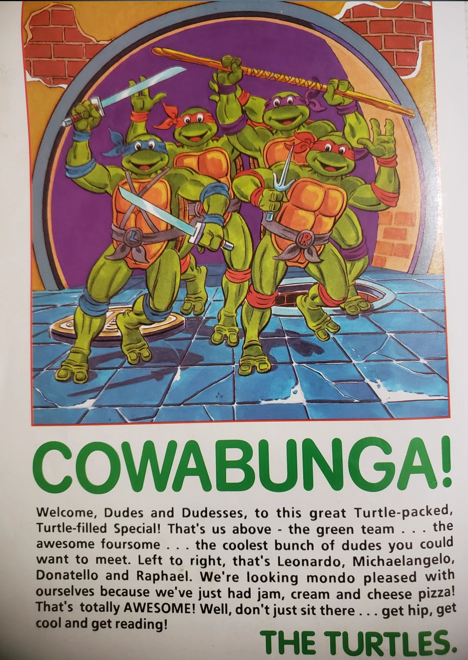 Teenage Mutant Hero Turtles Special 1991 (from Grandreams)/Gallery ...