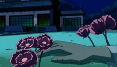 Tale of Master Yoshi/Gallery | TMNTPedia | Fandom