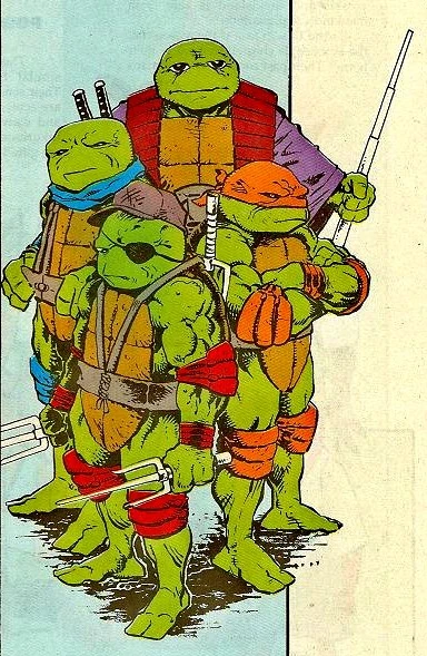 Future-Turtles | Teenage Mutant Ninja Turtles Wiki | Fandom