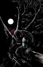 Raphael | Teenage Mutant Ninja Turtles Wiki | Fandom