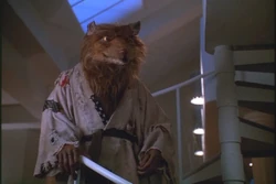 Splinter (1990 film series) | TMNTPedia | Fandom