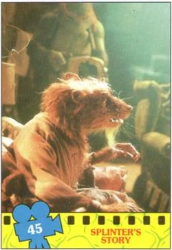Splinter’s Story | TMNTPedia | Fandom
