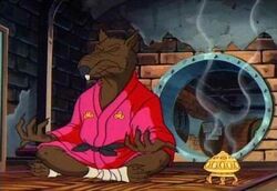 Meditation | TMNTPedia | Fandom