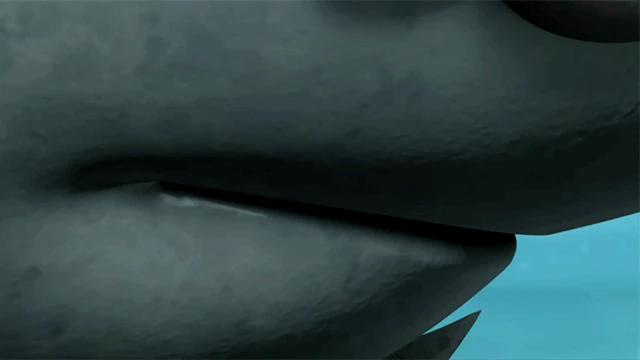 Armaggon (2012 TV series)/Animations | TMNTPedia | Fandom