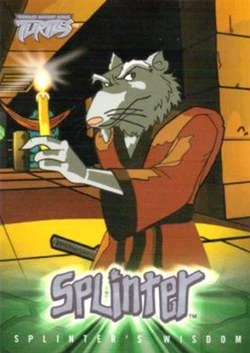 Splinter’s Wisdom 8 | TMNTPedia | Fandom