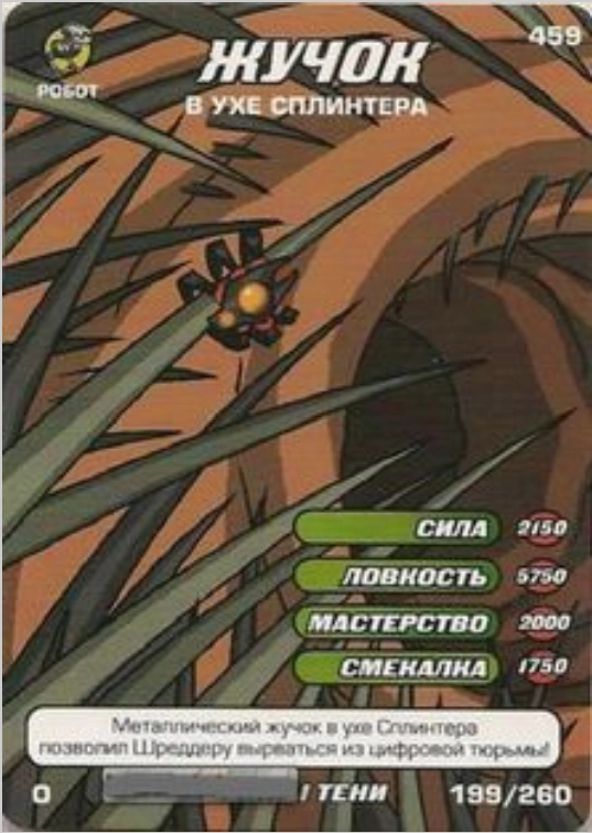 Beetle, in Splinter’s Ear | TMNTPedia | Fandom