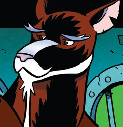 Splinter | TMNTPedia | Fandom