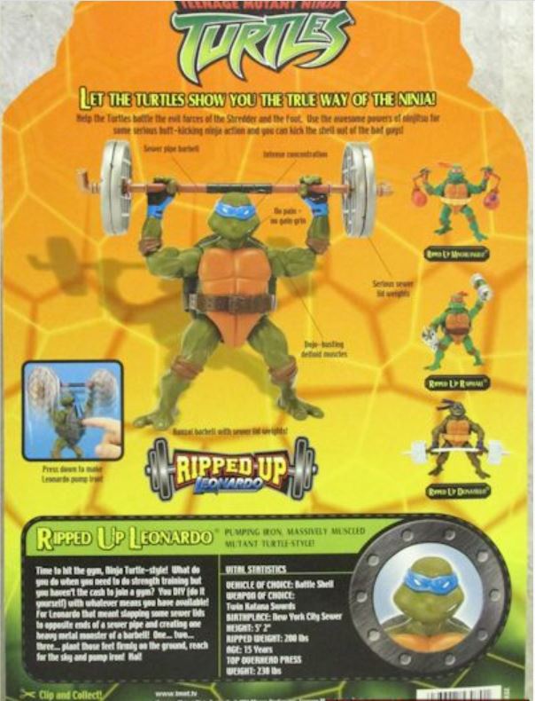 Ripped-Up Leonardo (2004 action figure) | TMNTPedia | Fandom