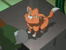 Klunk (2003 TV series) | TMNTPedia | Fandom