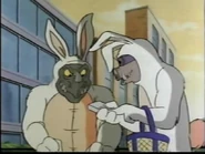 The Turtles and the Hare/Gallery | TMNTPedia | Fandom