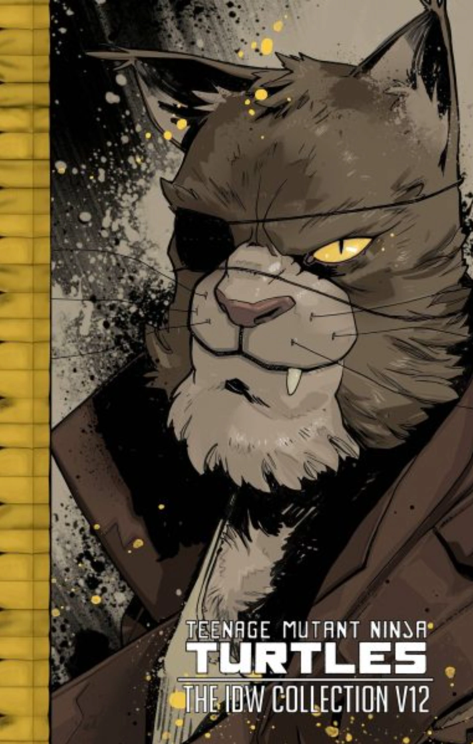Teenage Mutant Ninja Turtles: The IDW Collection volume 12 | TMNTPedia ...