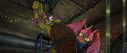 Wingnut (Point Grey)/Gallery | TMNTPedia | Fandom