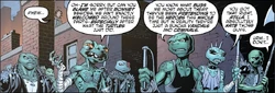 Punk Frogs (IDW)/Gallery | TMNTPedia | Fandom