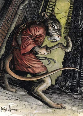 Splinter (IDW) | TMNTPedia | Fandom