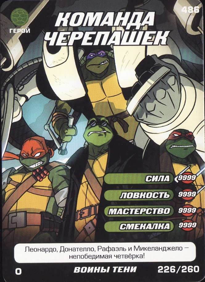 Turtle Team | TMNTPedia | Fandom