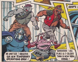 Viking Turtles/Gallery | TMNTPedia | Fandom
