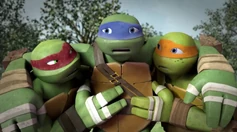 Vision Quest | TMNT Wiki | Fandom