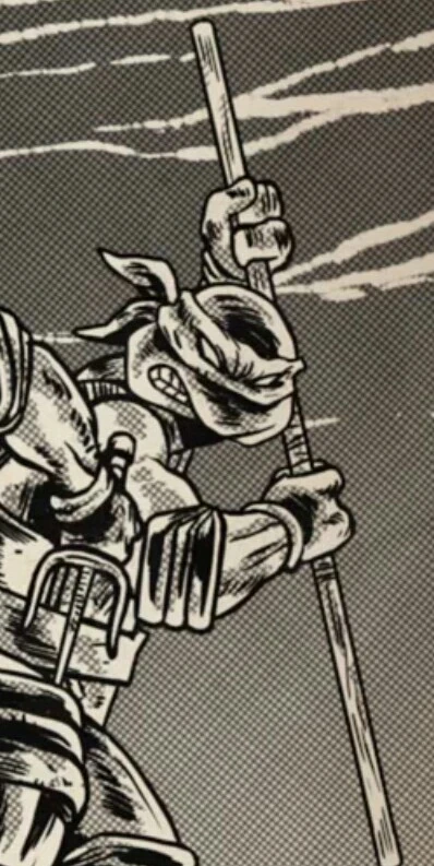 1984 Donatello | TMNT Wiki | Fandom