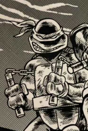 1984 Michelangelo | TMNT Wiki | Fandom