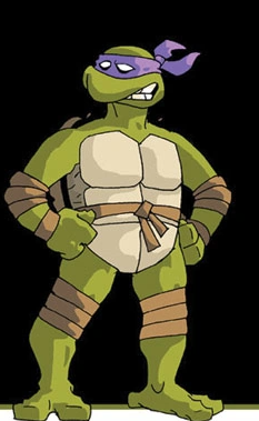 Donatello Hamato (TMNT: The Animated Series) | TMNT Fanon Wiki | Fandom