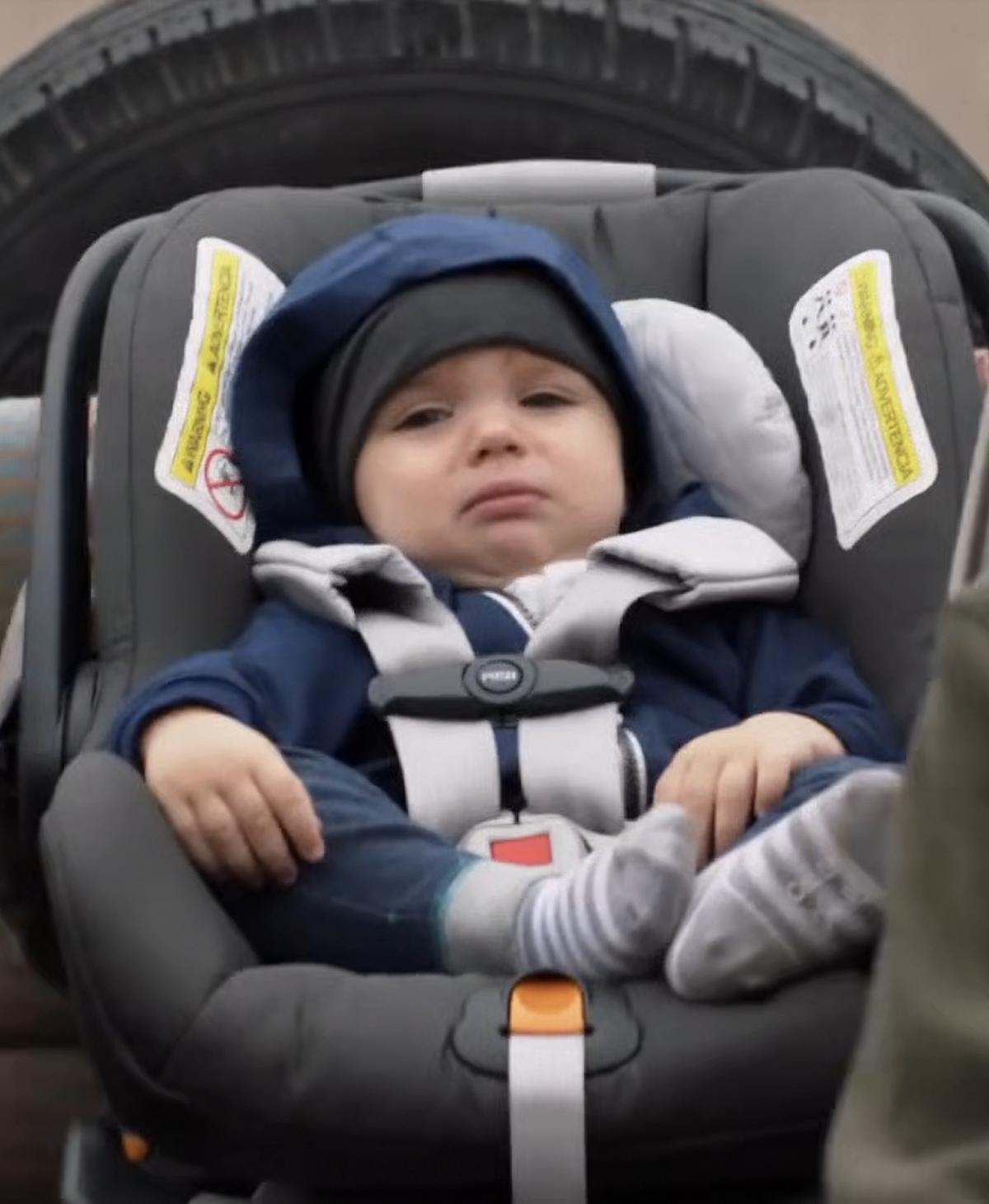 Nicholas Cody | Animal Kingdom Wiki | Fandom